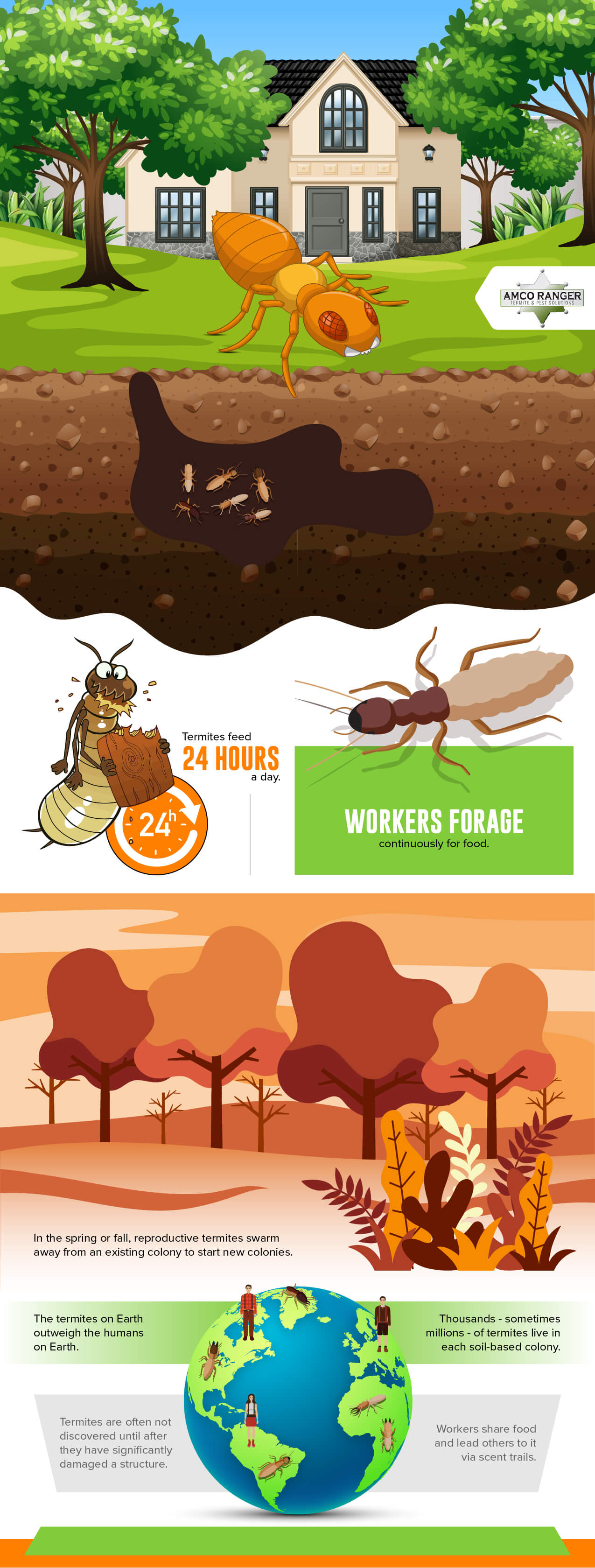 Facts about Termites